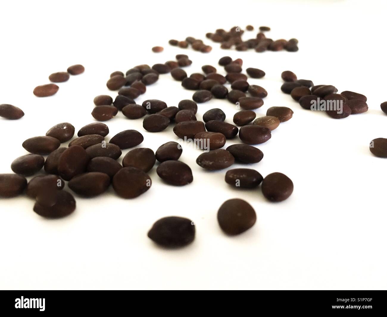 Carob seeds hi-res stock photography and images - Alamy