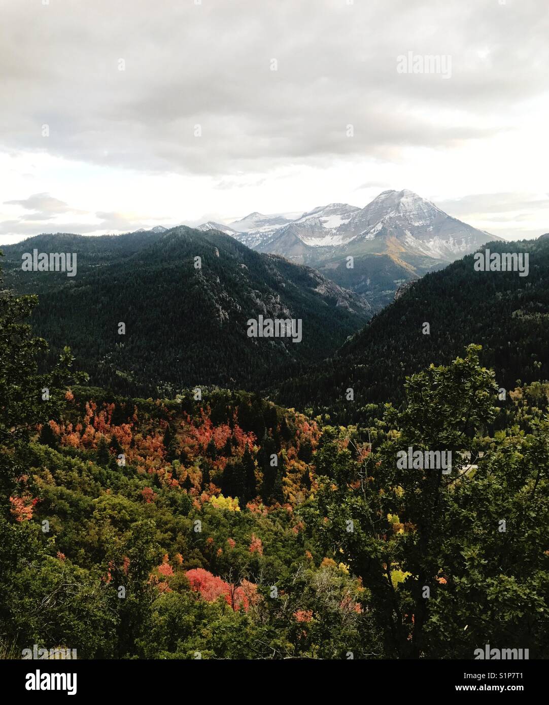 Red leaves canyon hi-res stock photography and images - Alamy