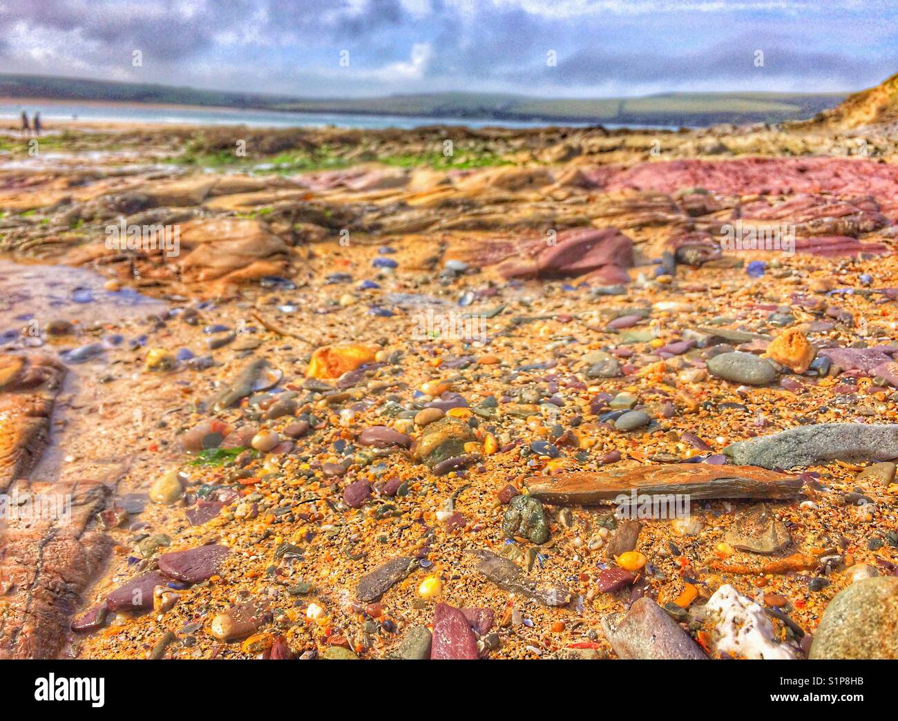Hunting for pebbles - Daymer bay Cornwall Stock Photo - Alamy