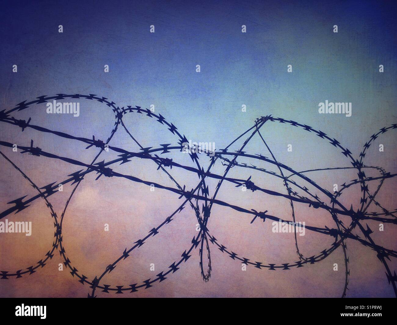 Razor Barb Wire Stock Photos & Razor Barb Wire Stock Images - Alamy