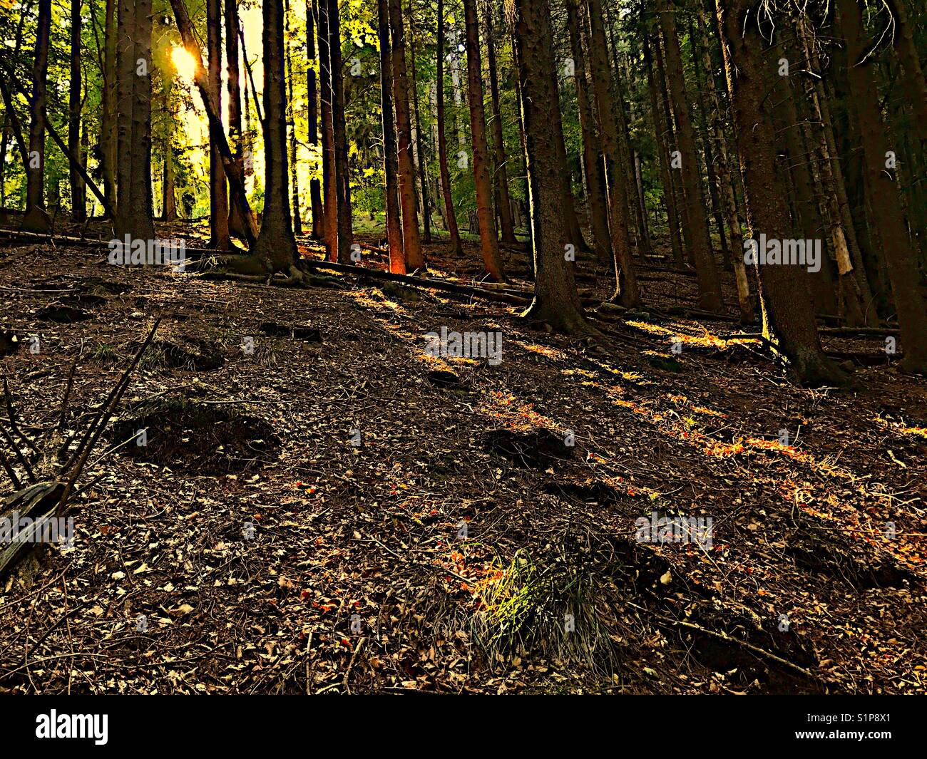 Light an shadow hi-res stock photography and images - Alamy