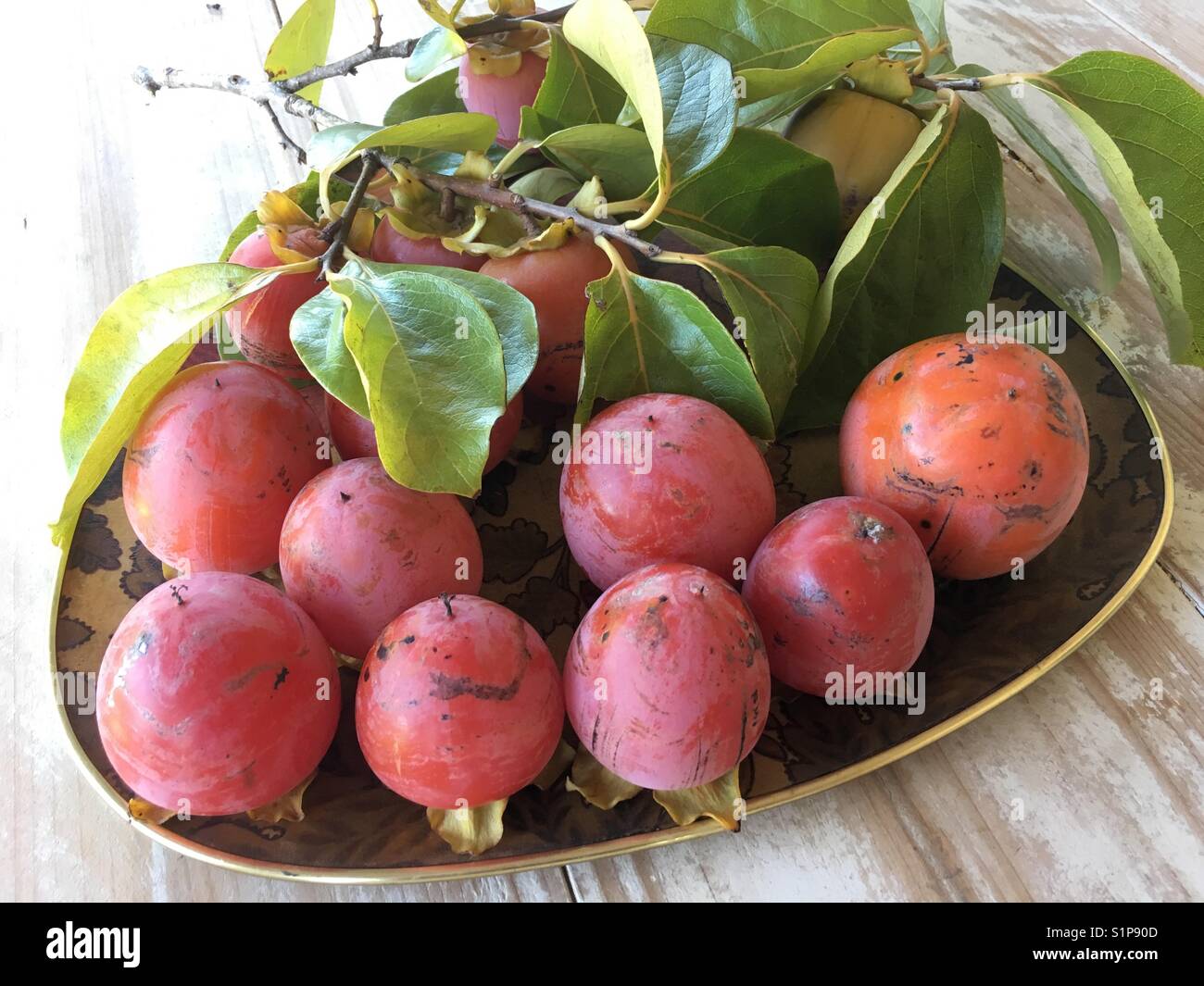 Tray of freshly picked persimmons, also known as Sharon fruit ...