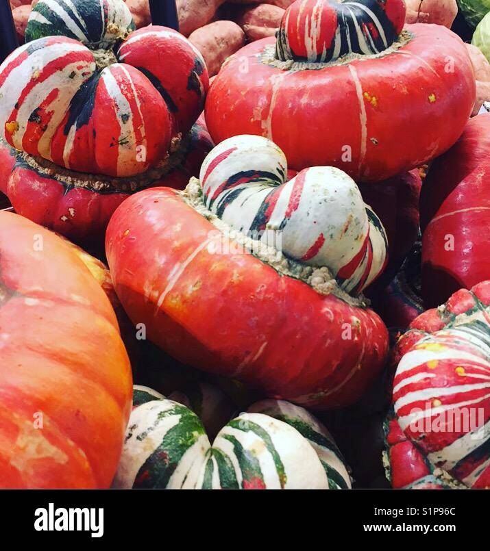 Vibrant pumpkins hi-res stock photography and images - Alamy