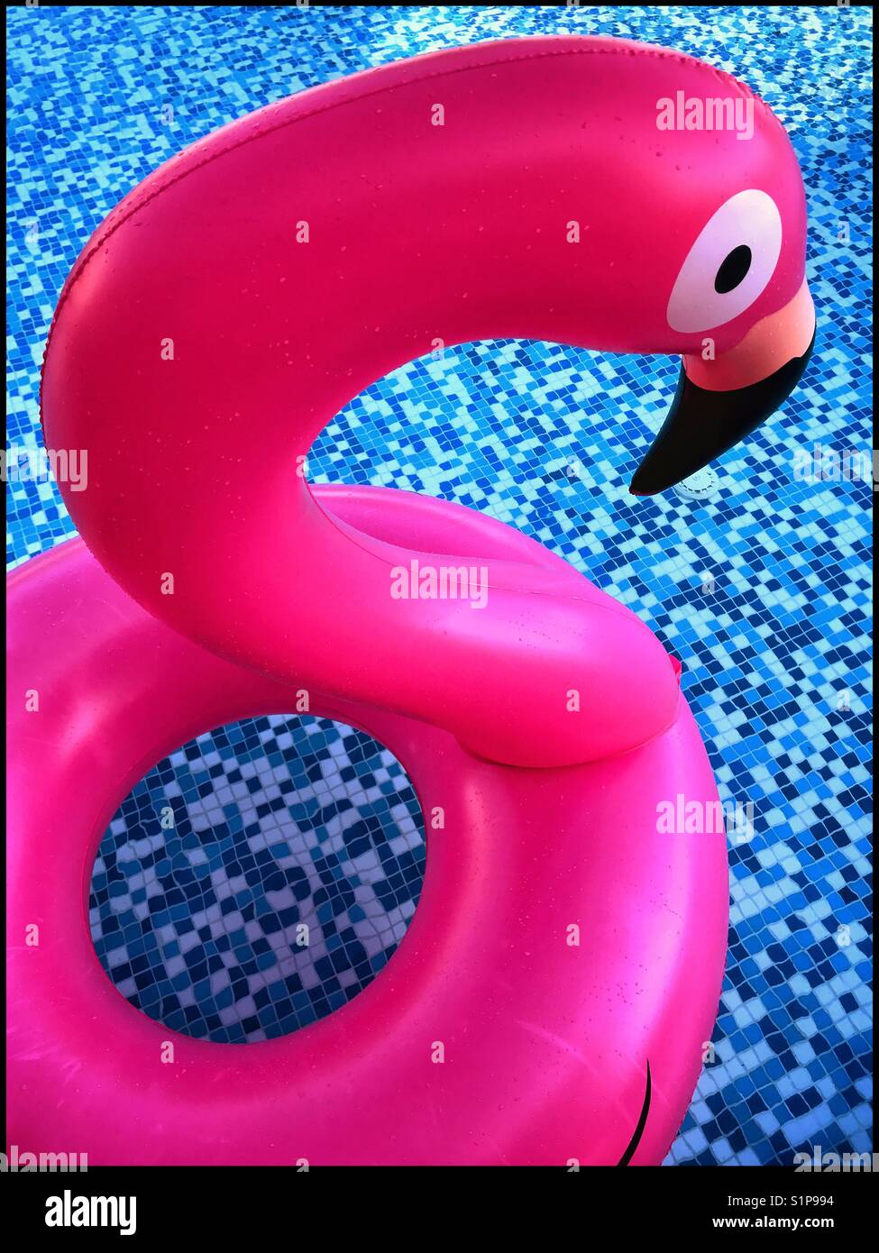 Inflatable arch hi-res stock photography and images - Alamy