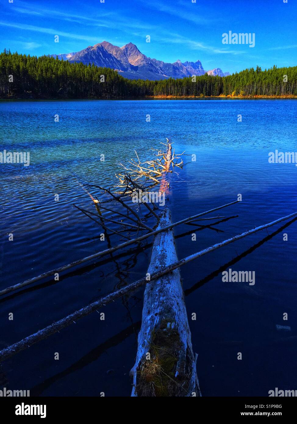 Herbert Lake, Banff National Park, Alberta, Canada Stock Photo - Alamy
