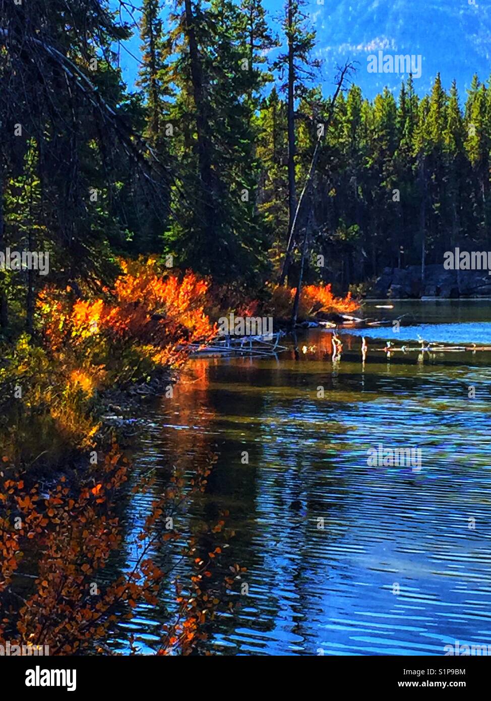 Herbert Lake, Banff National Park, Alberta, Canada Stock Photo - Alamy