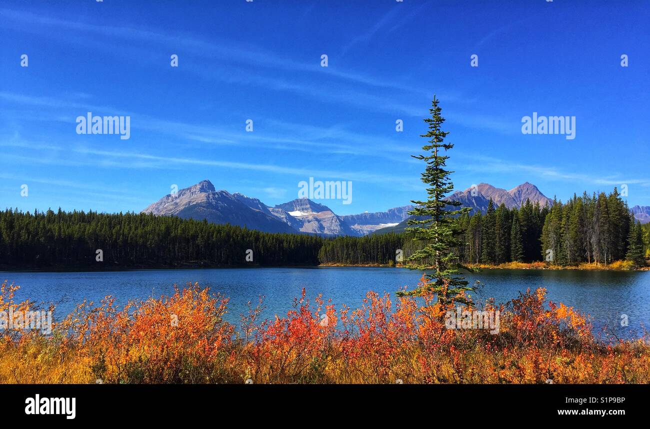 Herbert Lake, Banff National Park, Alberta, Canada Stock Photo - Alamy