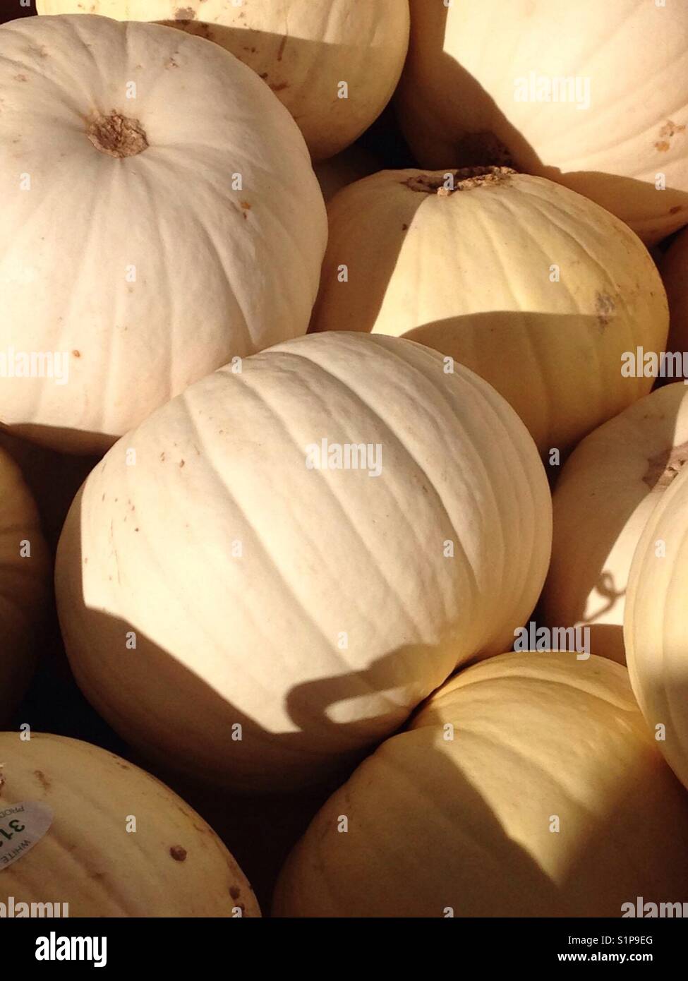 Novelty pumpkins hi-res stock photography and images - Alamy