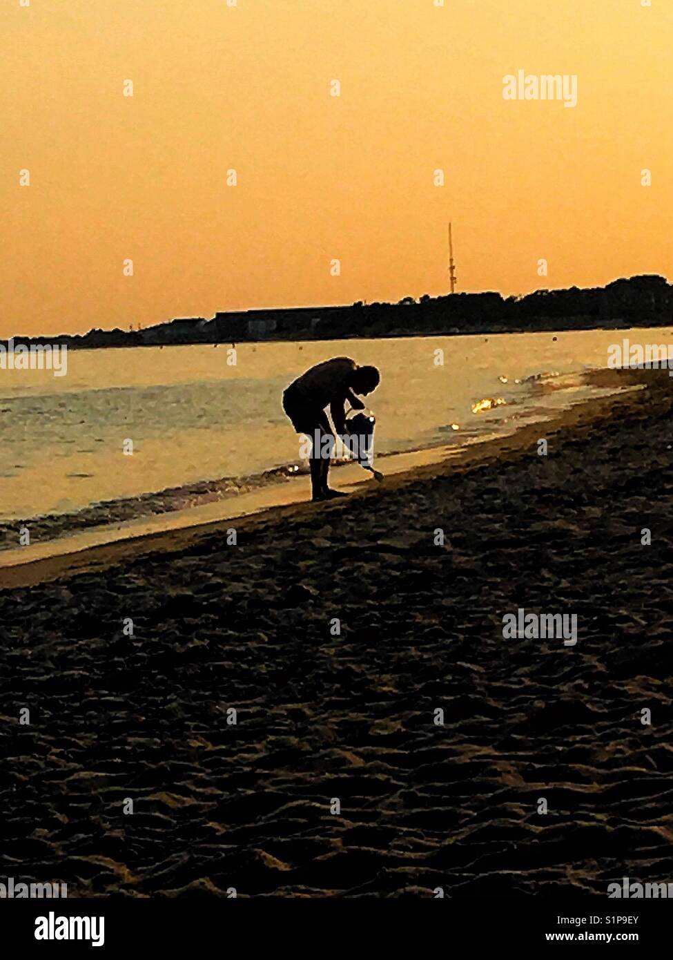 Collecting shells hi-res stock photography and images - Alamy