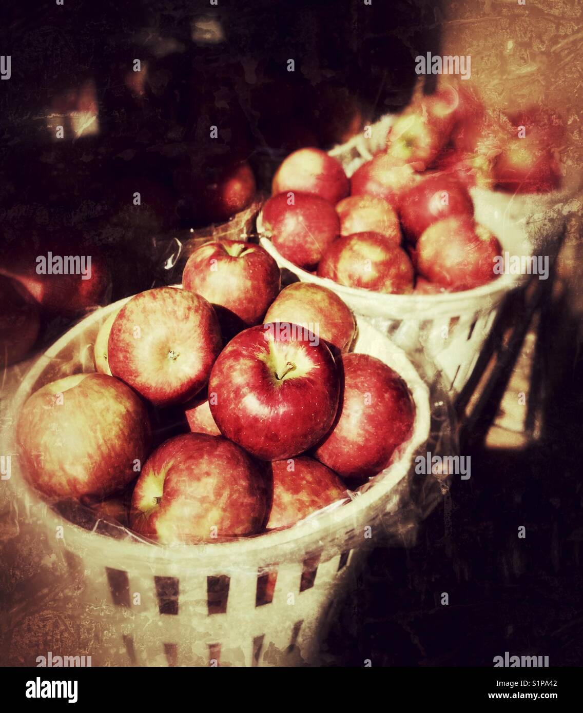 Fall harvest hi-res stock photography and images - Alamy