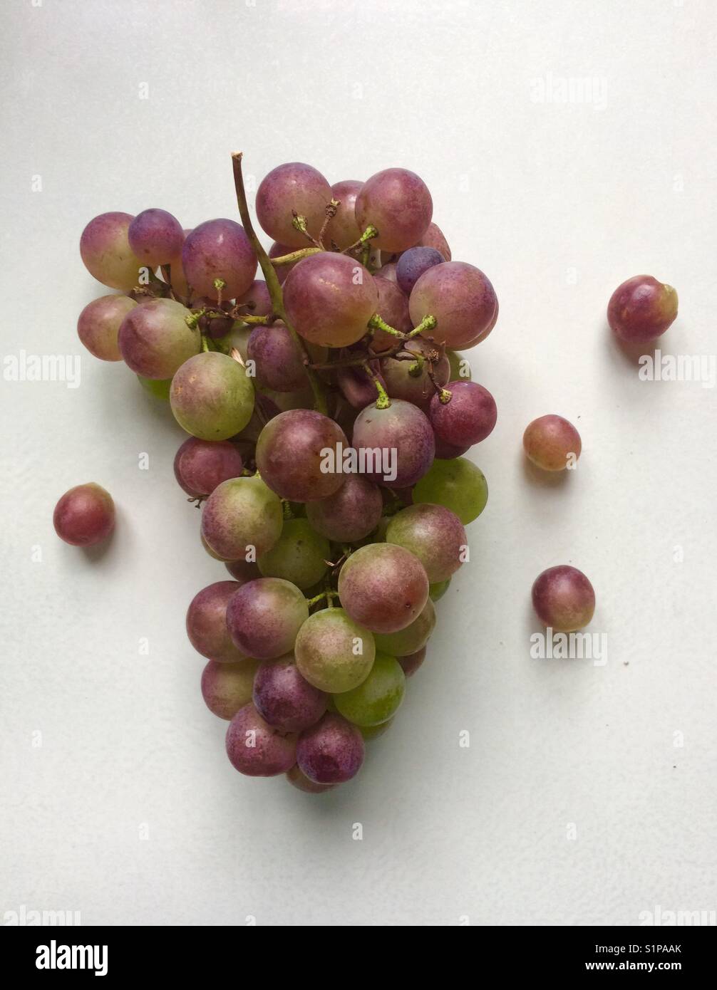 Bunch of grapes Stock Photo - Alamy