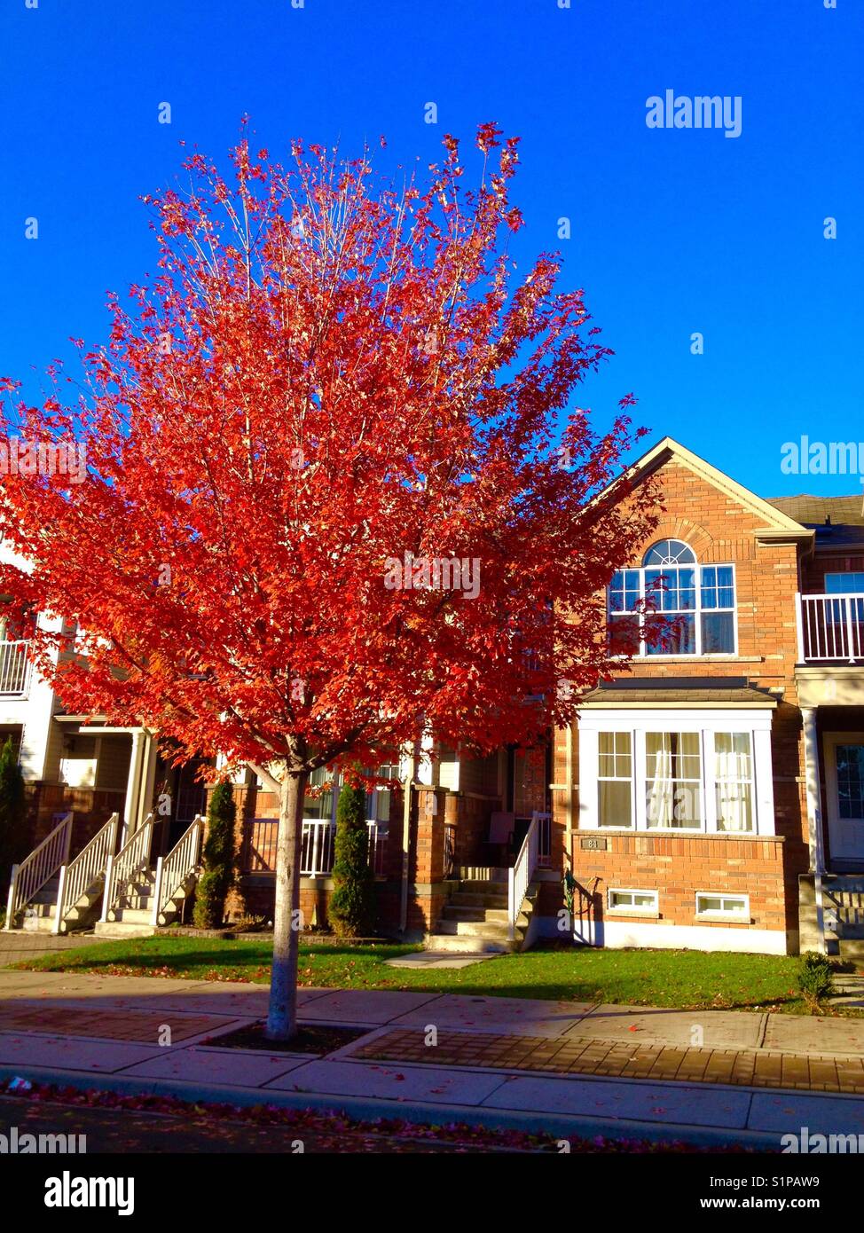 Toronto suburbs hi-res stock photography and images - Alamy