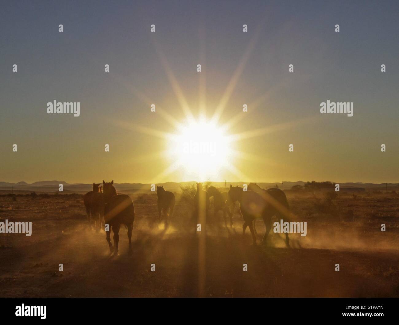 Remuda hi-res stock photography and images - Alamy