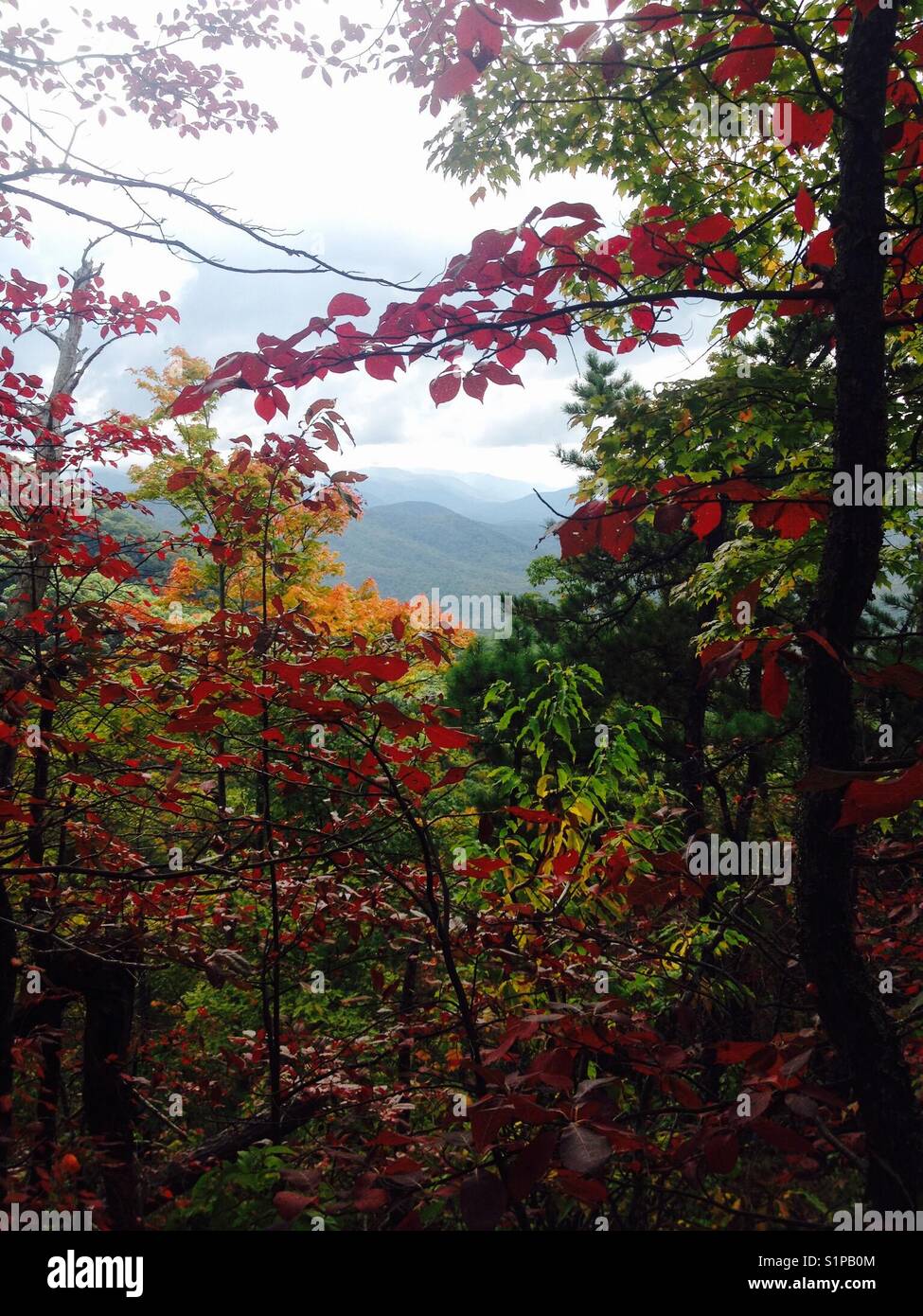 Tennessee fall colors hi-res stock photography and images - Alamy