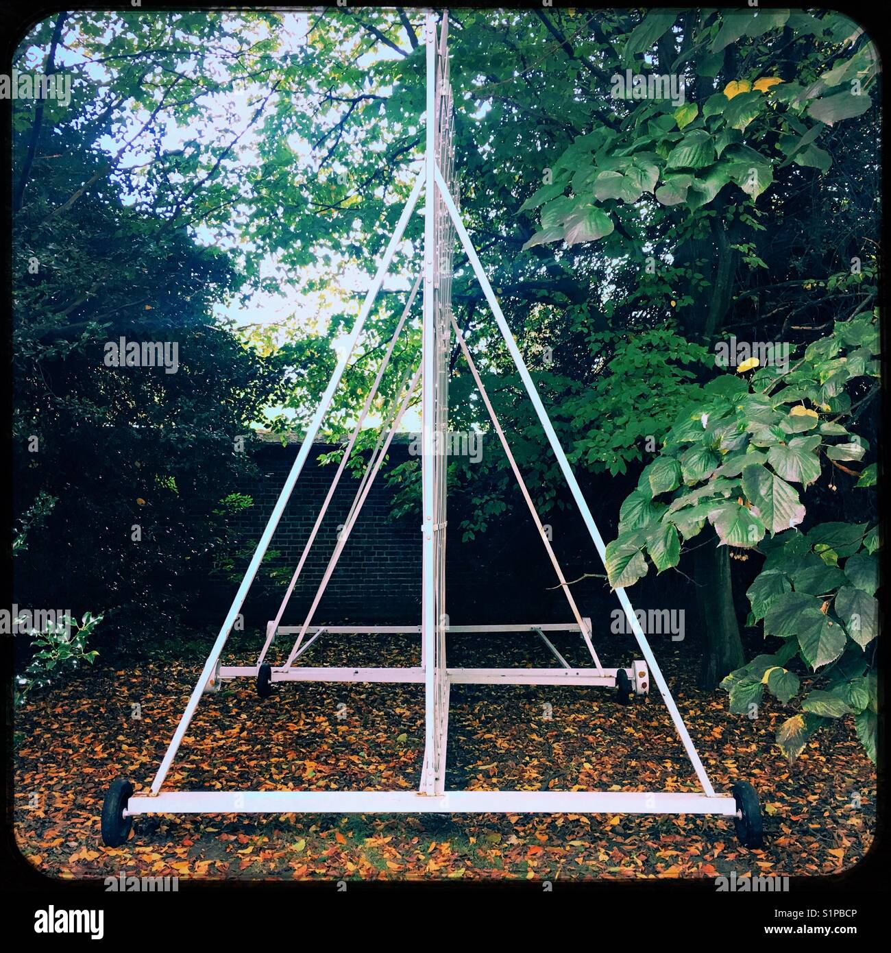 Cricket side screen Stock Photo - Alamy