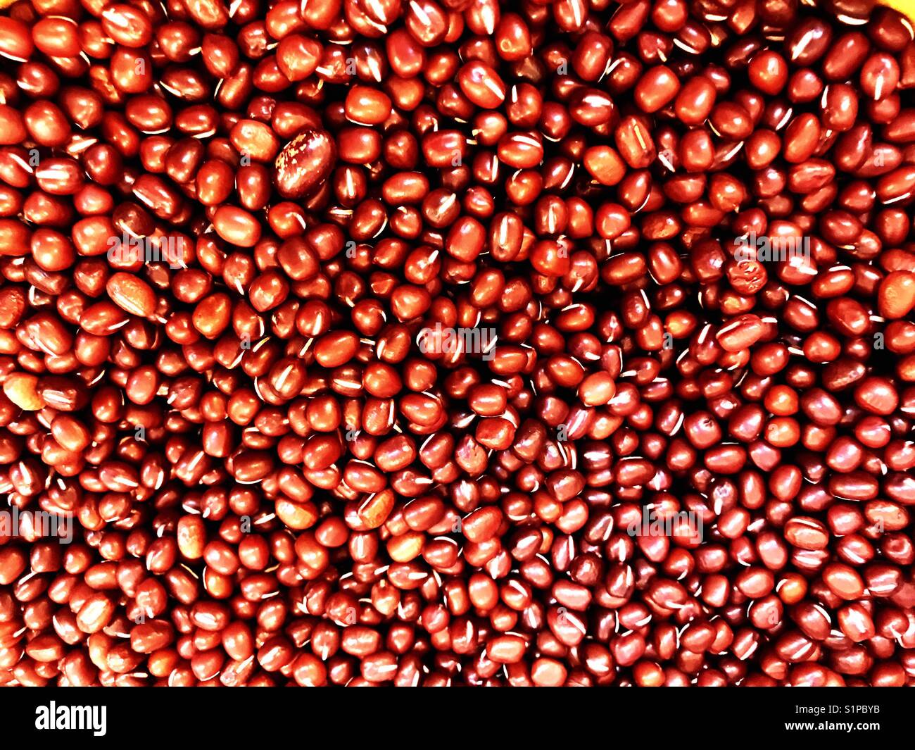 Beautiful beans hi-res stock photography and images - Alamy