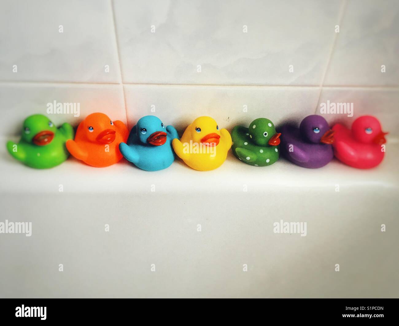 Coloured plastic ducks hi-res stock photography and images - Alamy