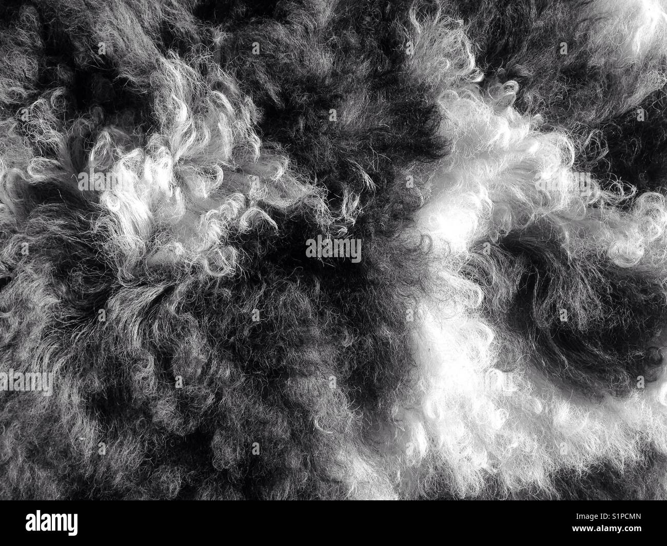 Woolly Texture High Resolution Stock Photography and Images - Alamy