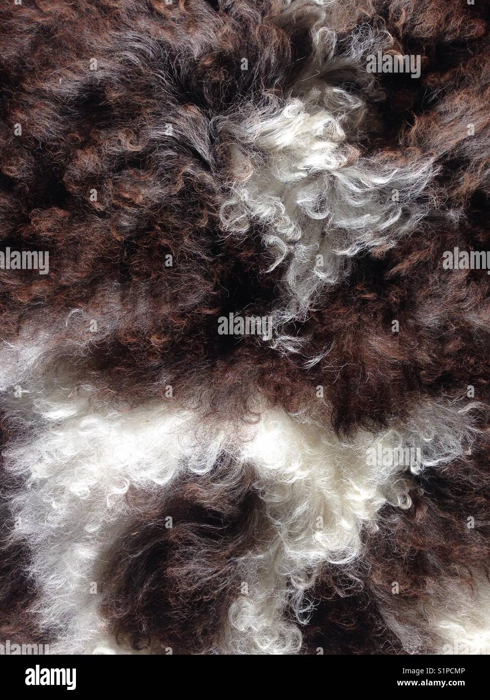 Woolly Texture High Resolution Stock Photography and Images - Alamy