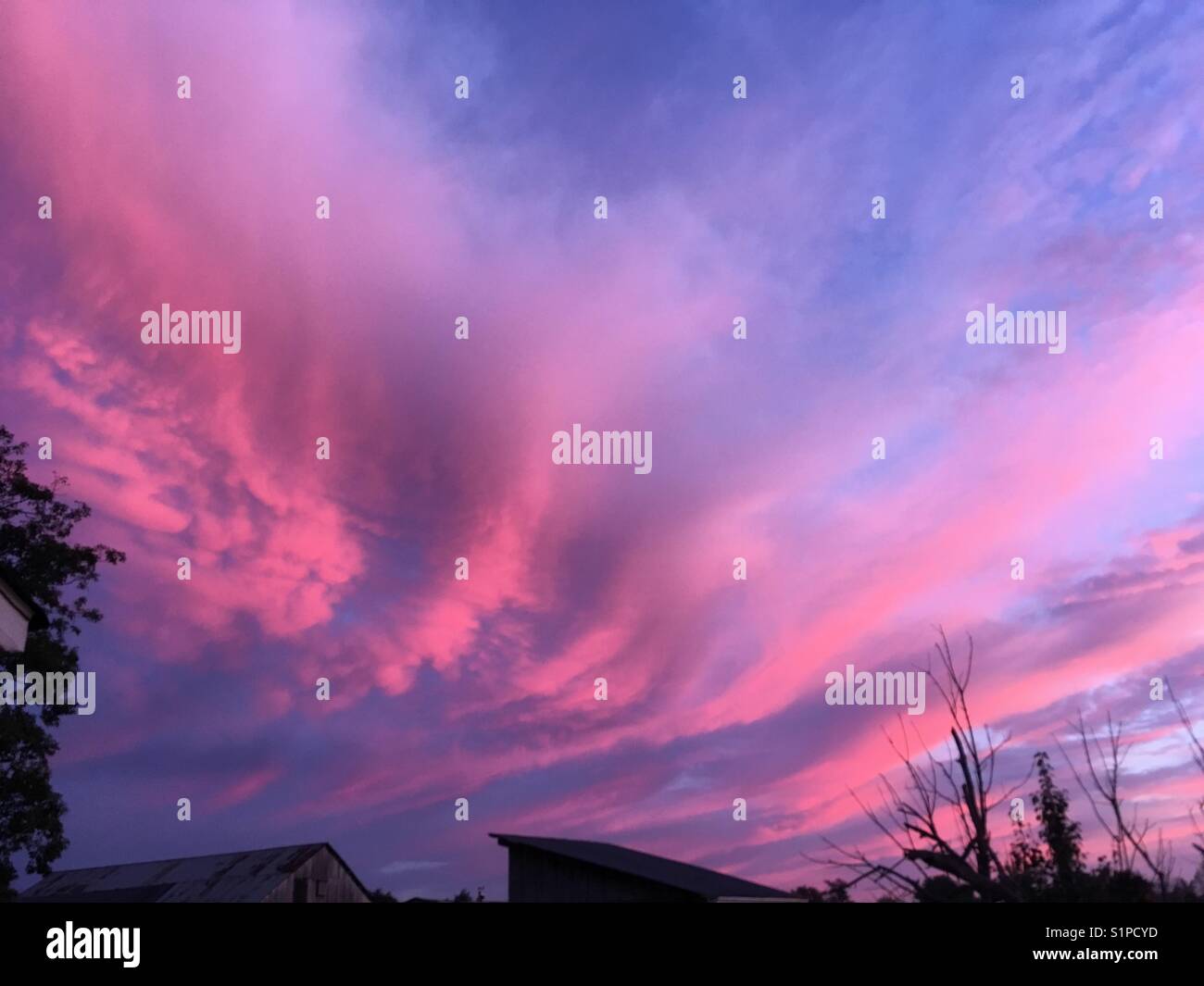Pink and purple morning clouds Stock Photo - Alamy