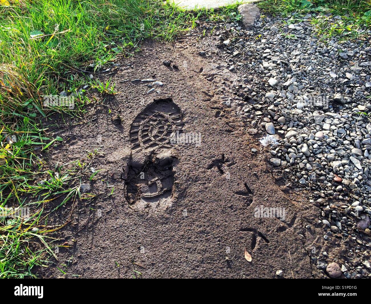 Man walking in mud hi-res stock photography and images - Alamy