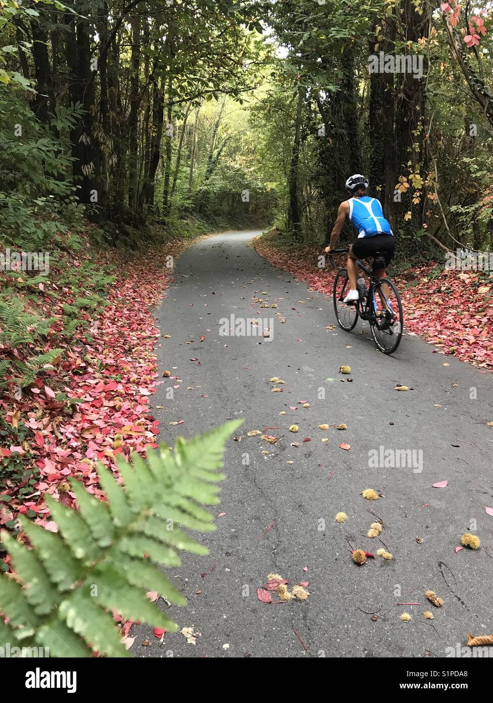 Cycle cycling cyclist hi-res stock photography and images - Alamy