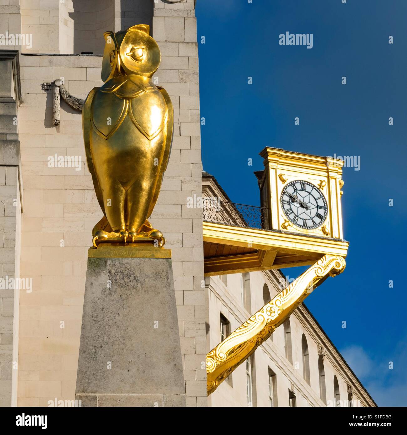 Leeds Civic Hall Golden Clock High Resolution Stock Photography and ...