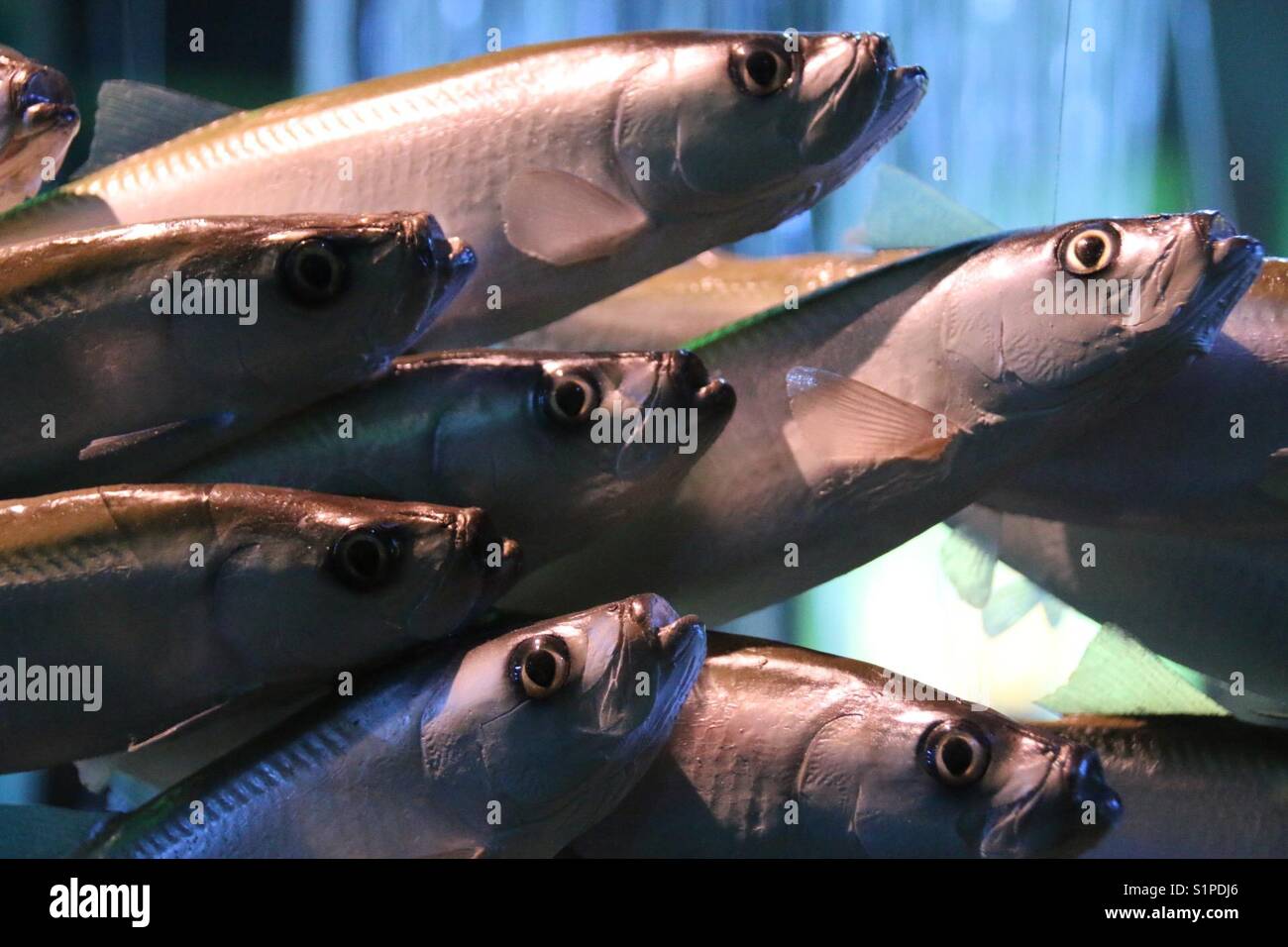 Museum baltic hi-res stock photography and images - Alamy