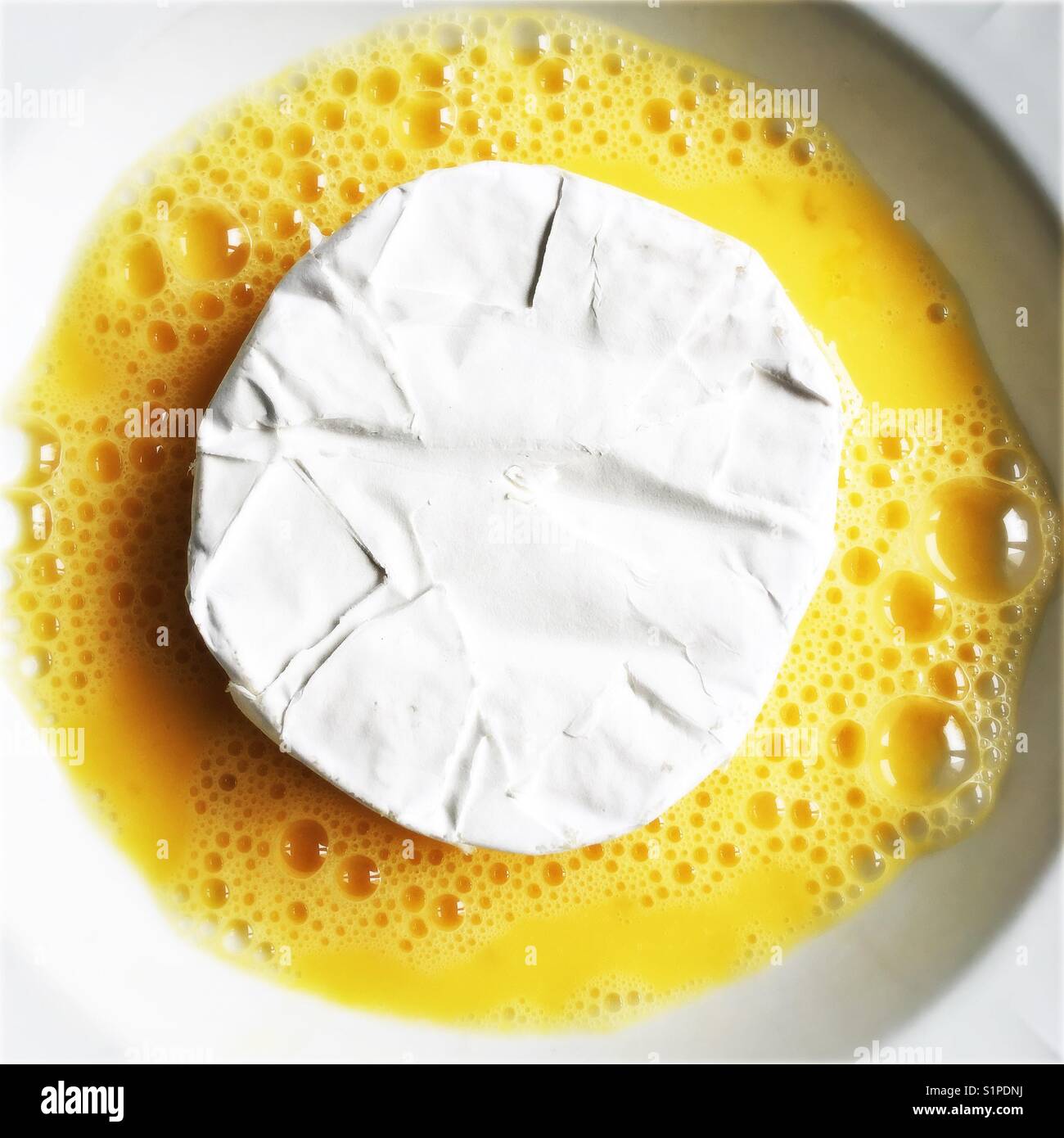 Camembert in whisked egg, first step of coating it in breadcrumbs Stock ...