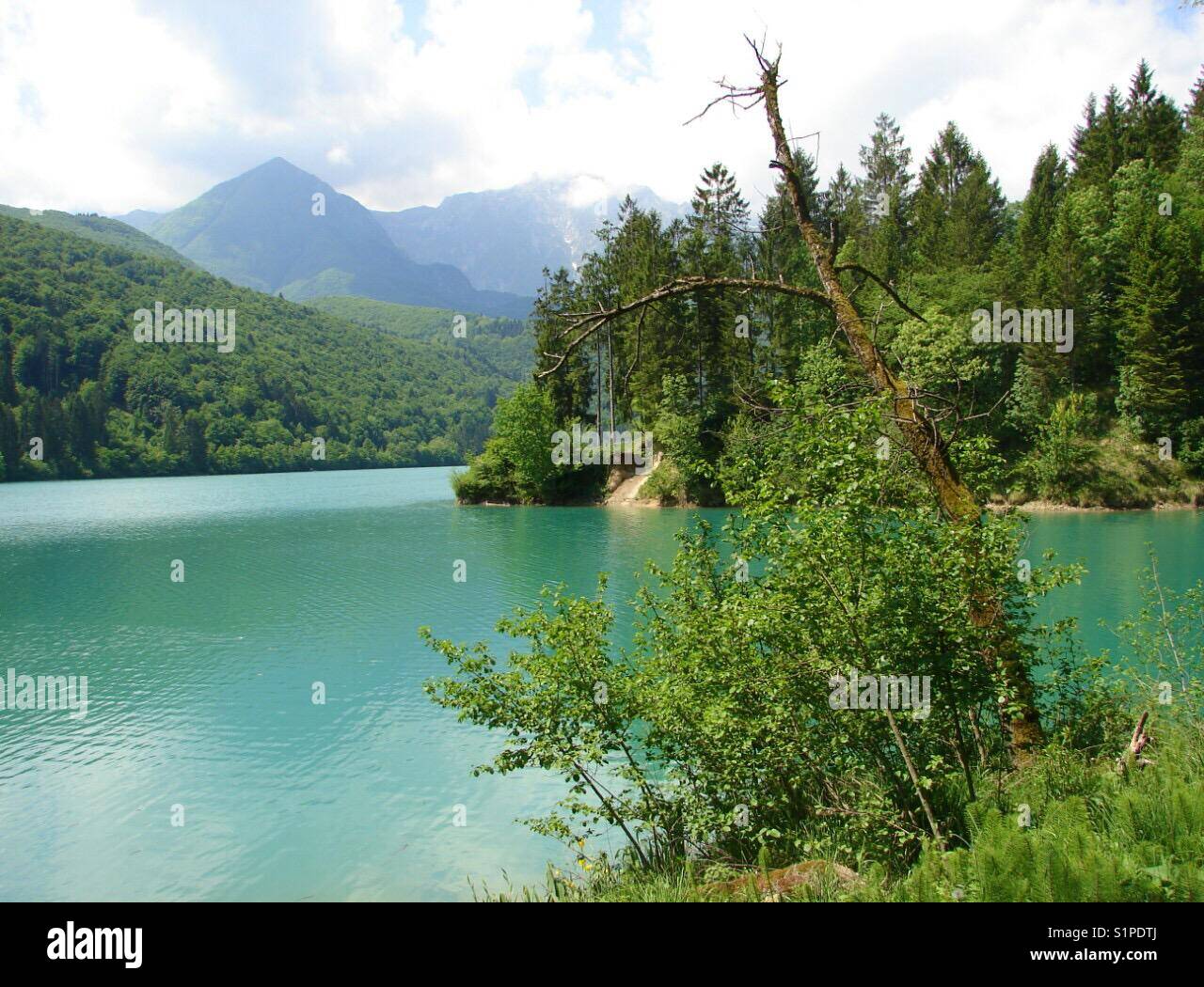 Barcis hi-res stock photography and images - Alamy