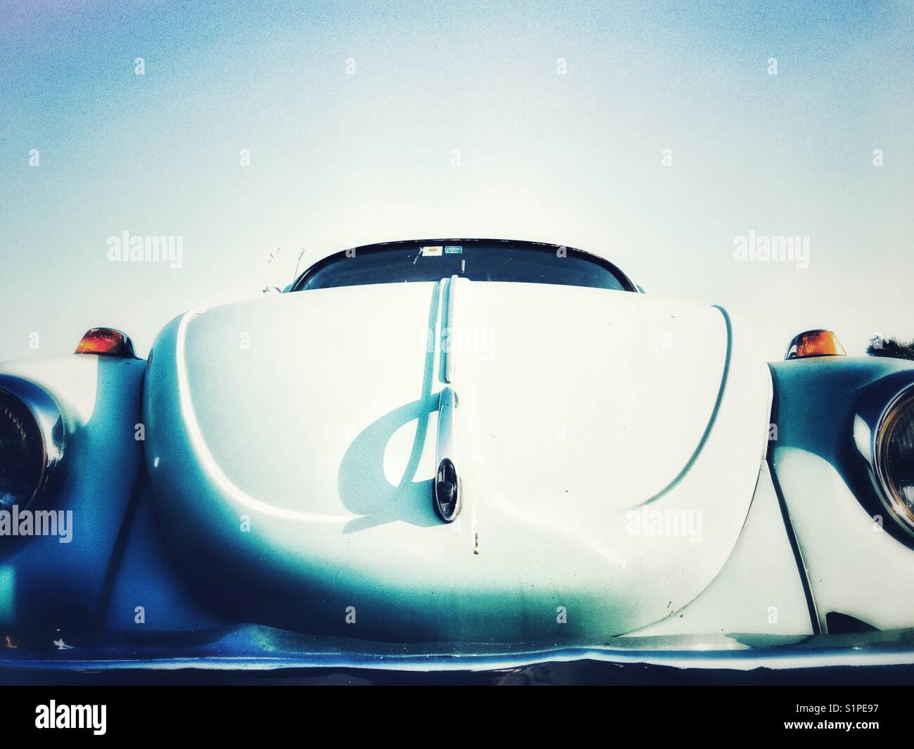 Beetle front view hi-res stock photography and images - Alamy