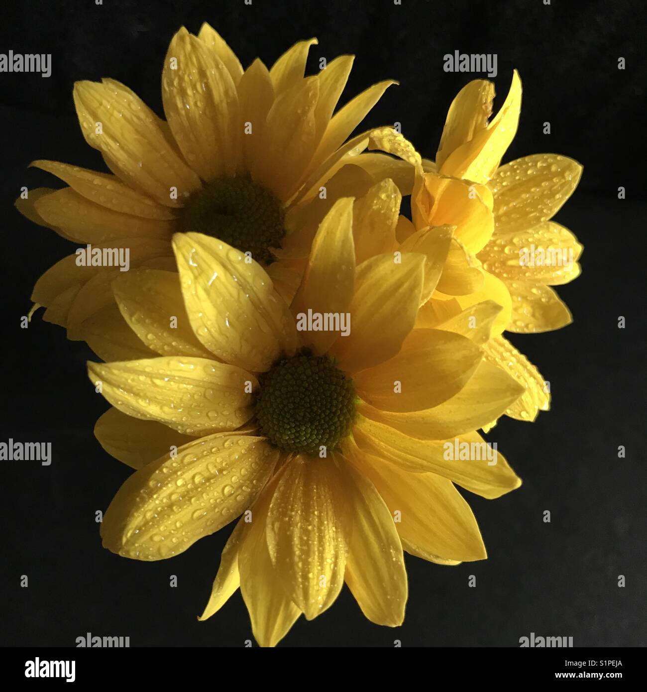 Menage trois hi-res stock photography and images - Alamy