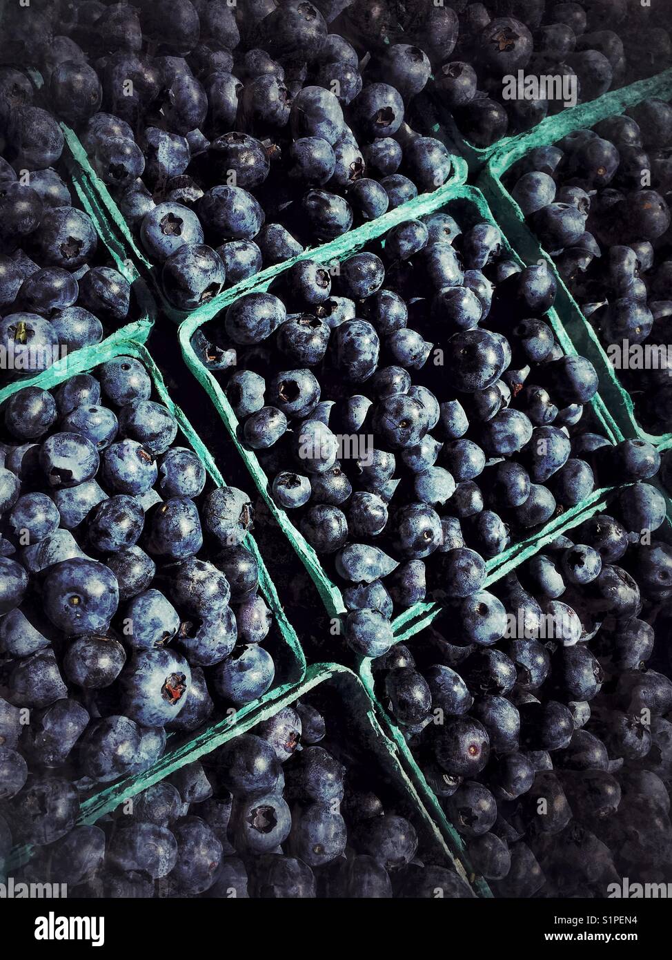 Freshly picked blueberries in cartons at the market Stock Photo - Alamy