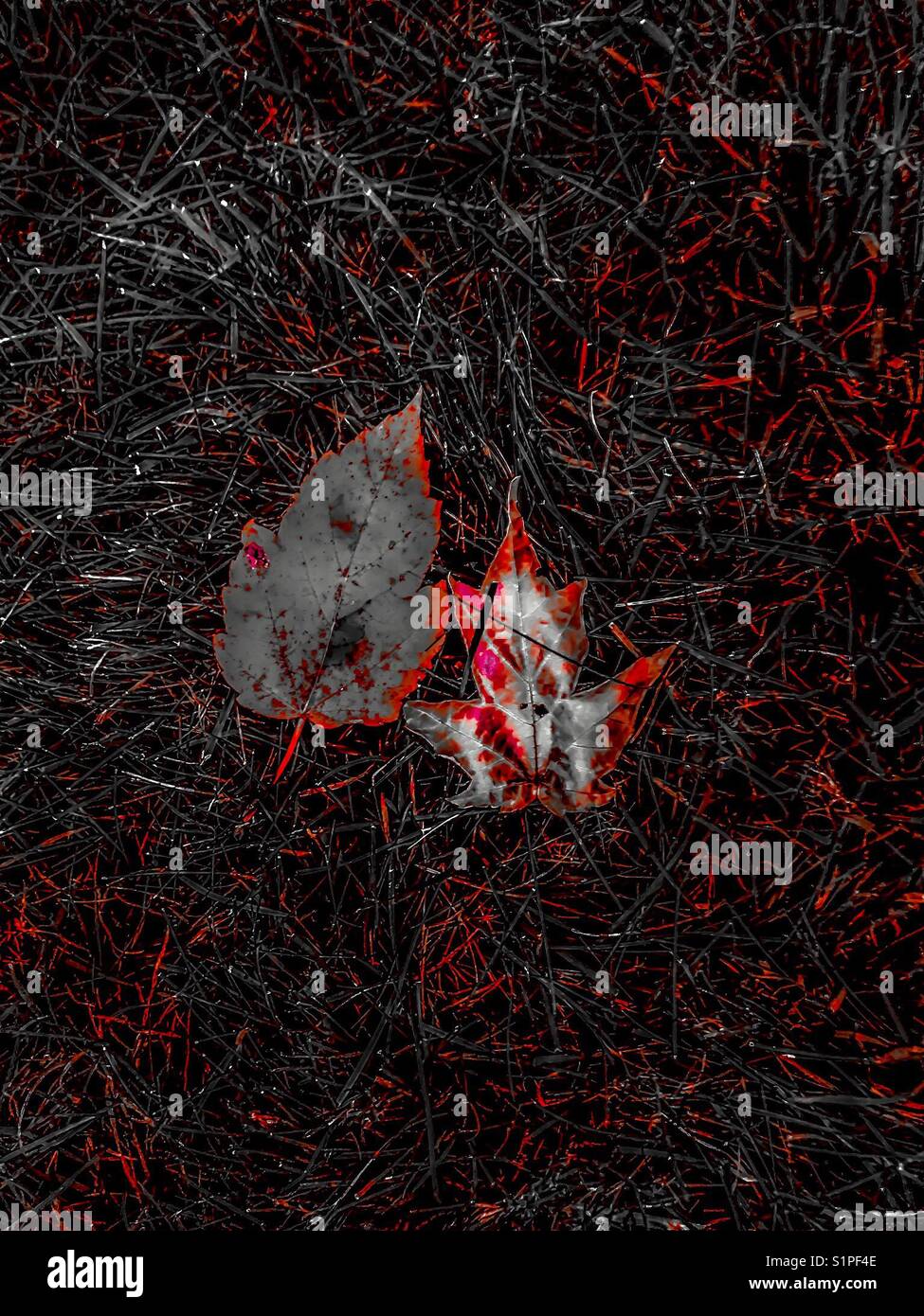 Introduction Abstract High Resolution Stock Photography and Images - Alamy