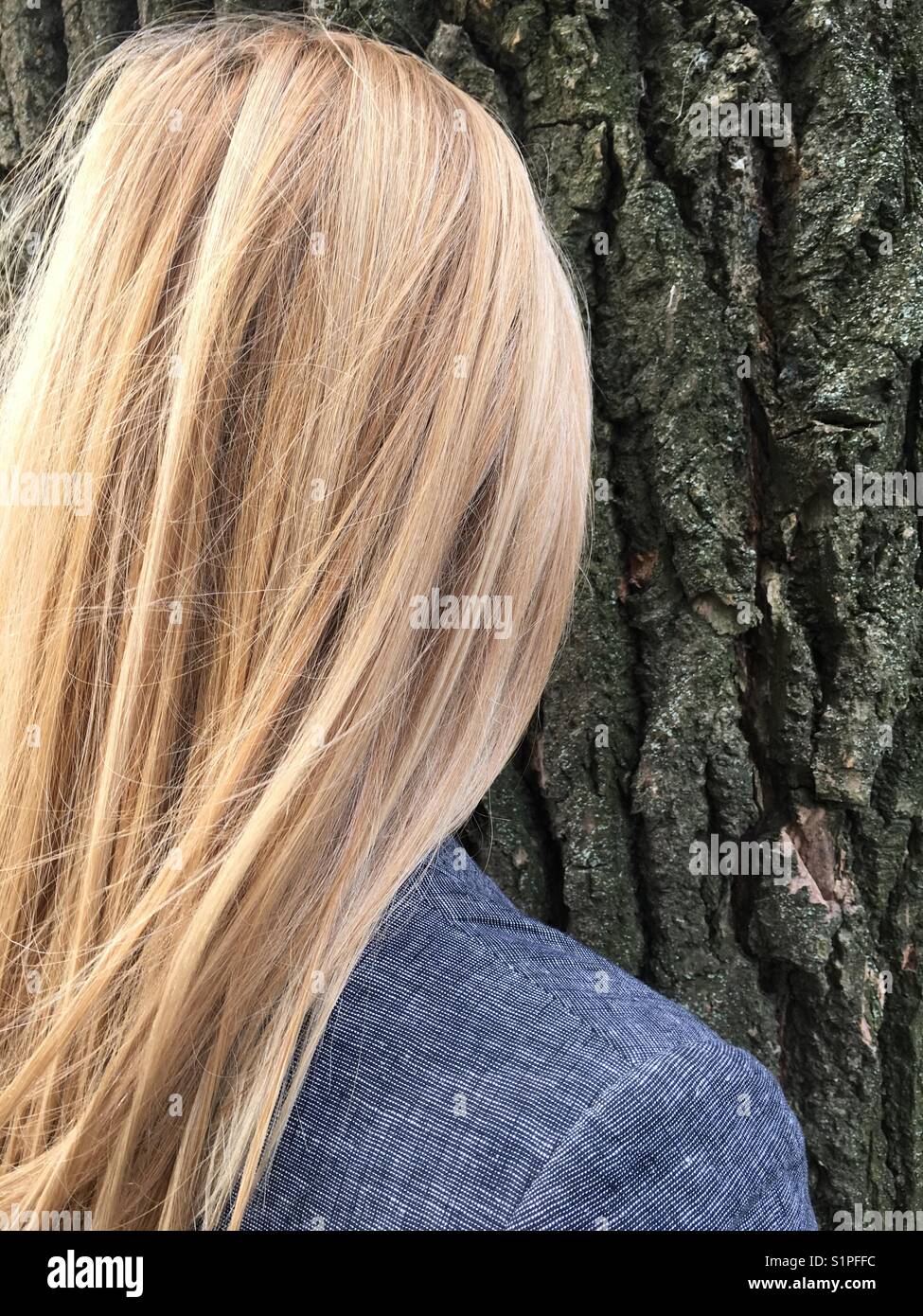Texture of an old bark against the texture of long blond hair Stock ...
