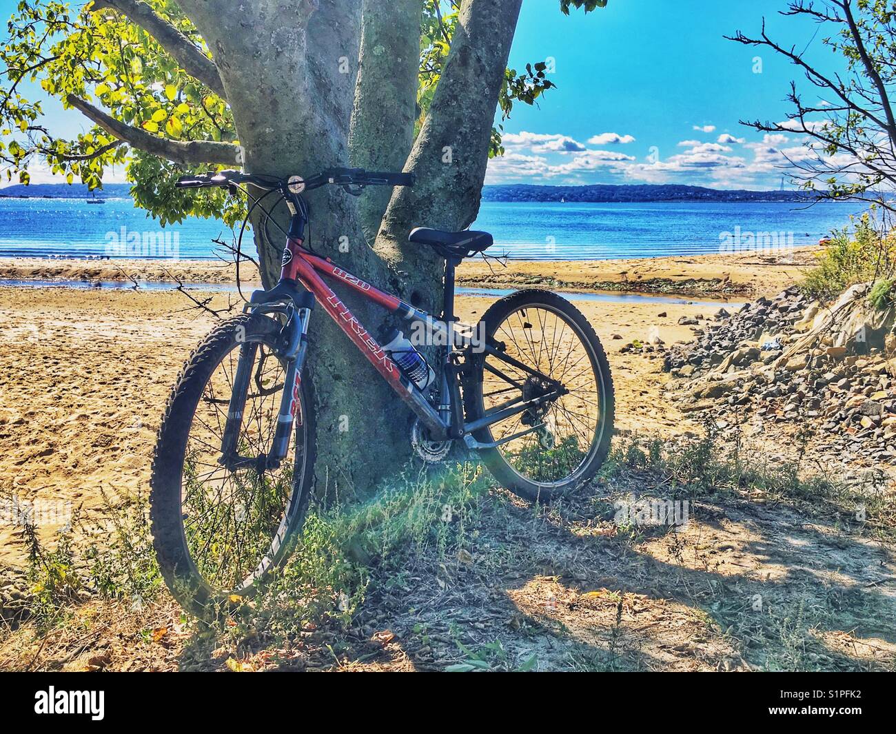 Bicycle bay hi-res stock photography and images - Alamy