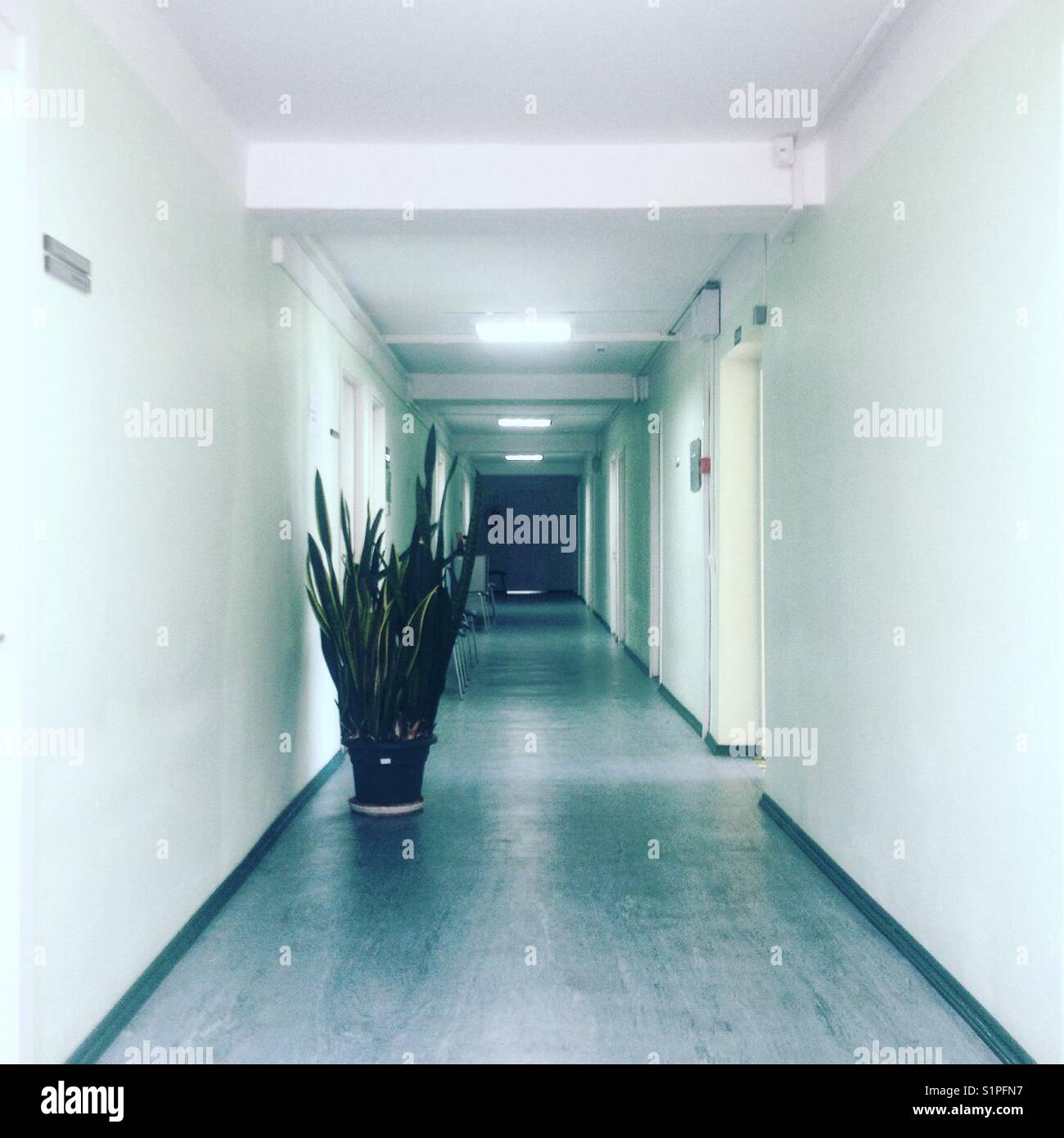 Deep perspective minimal hi-res stock photography and images - Alamy