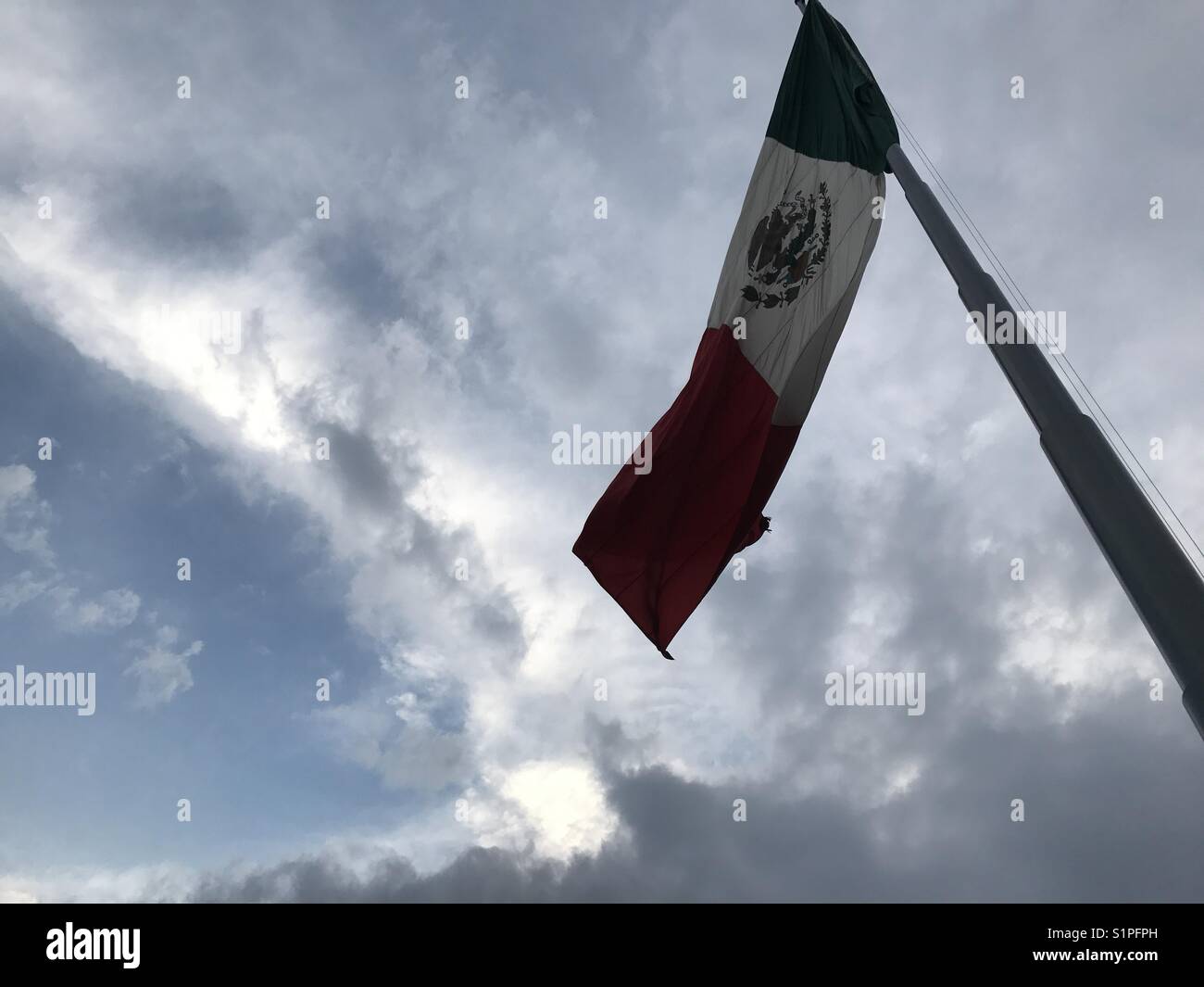 Fuerza mexico hi-res stock photography and images - Alamy