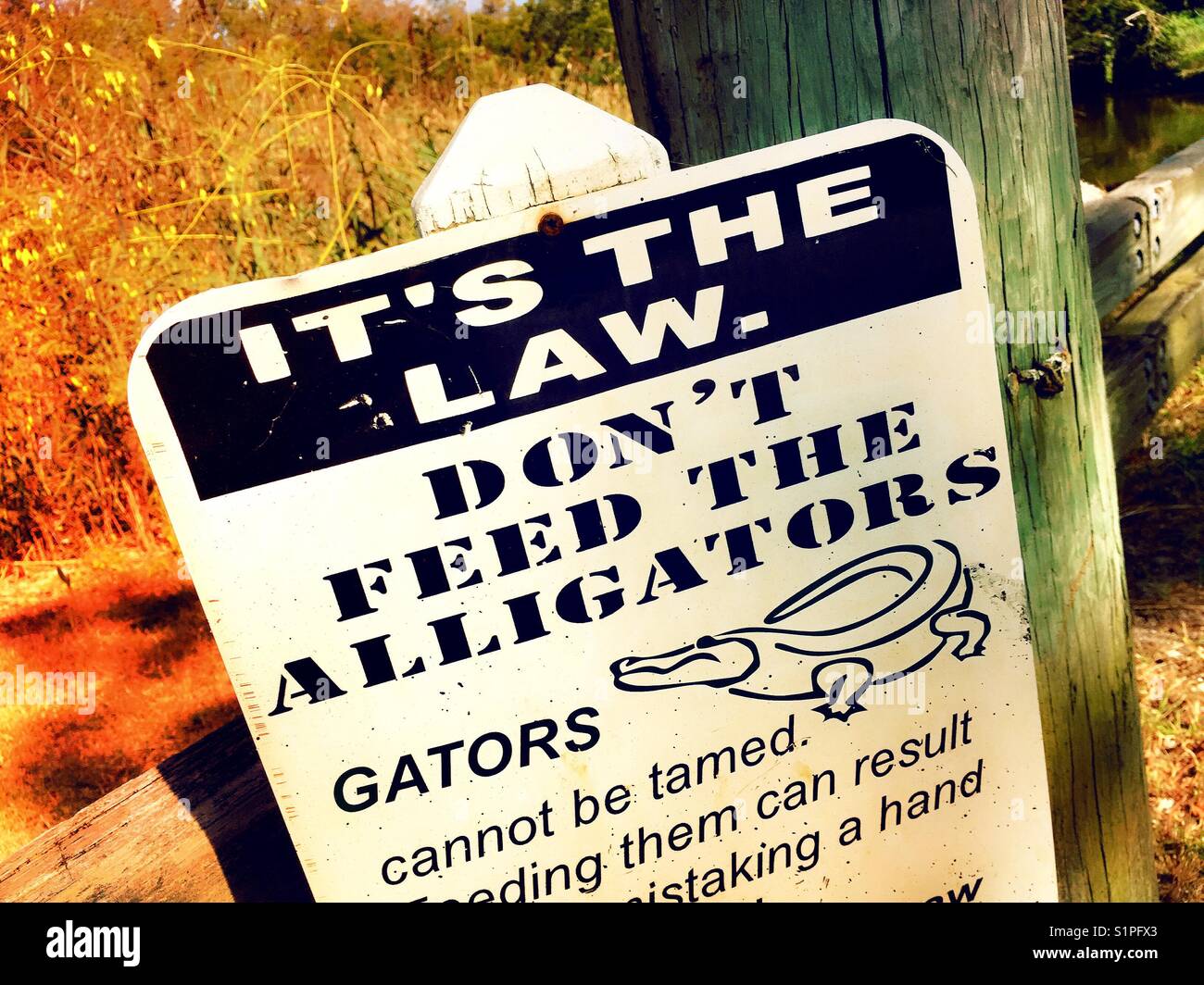 Dont feed alligators sign hi-res stock photography and images - Alamy