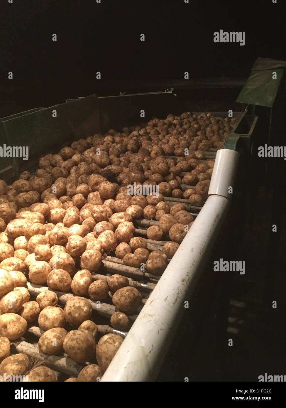 Potato farms hi-res stock photography and images - Alamy