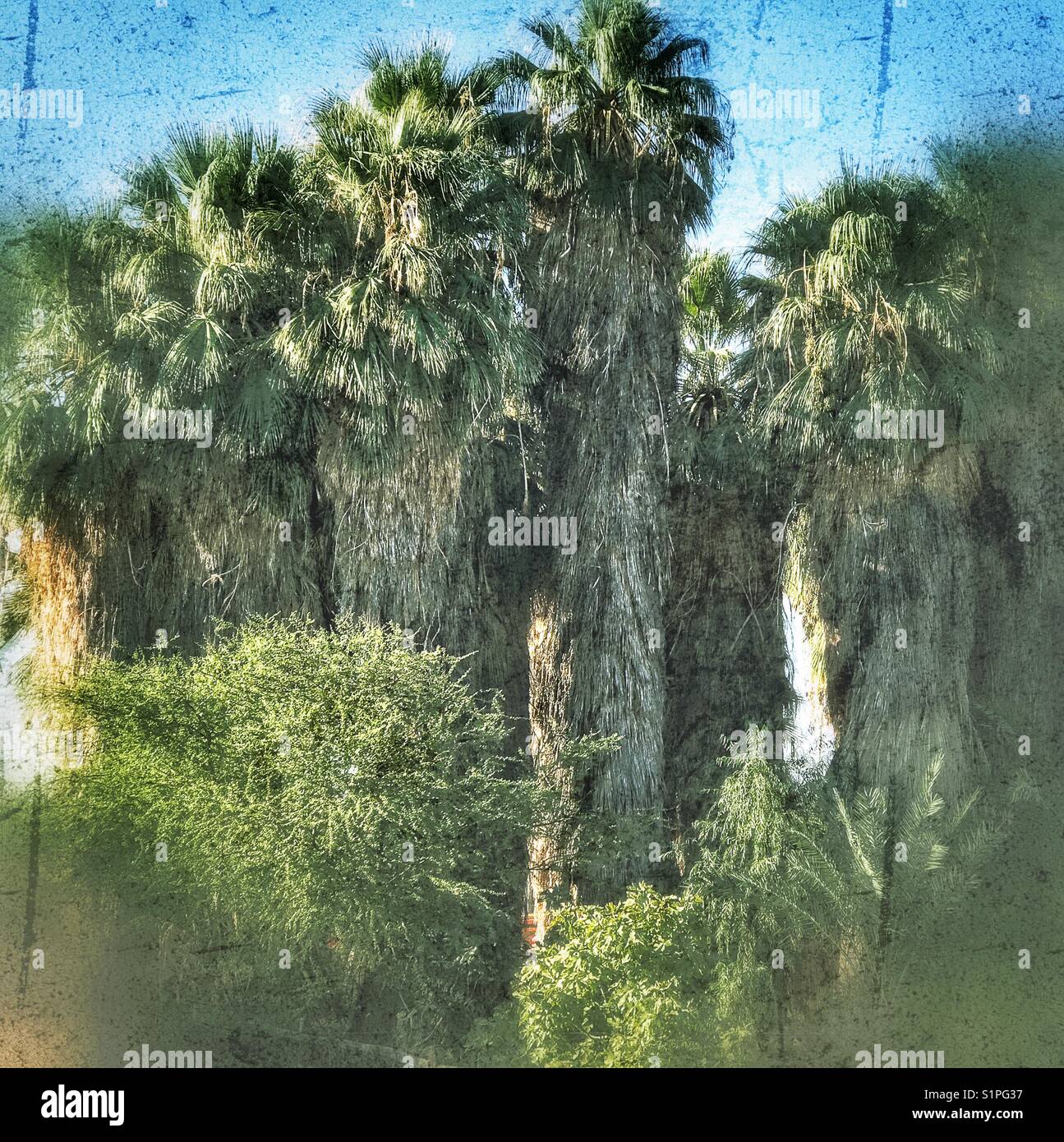 Untrimmed hi-res stock photography and images - Alamy