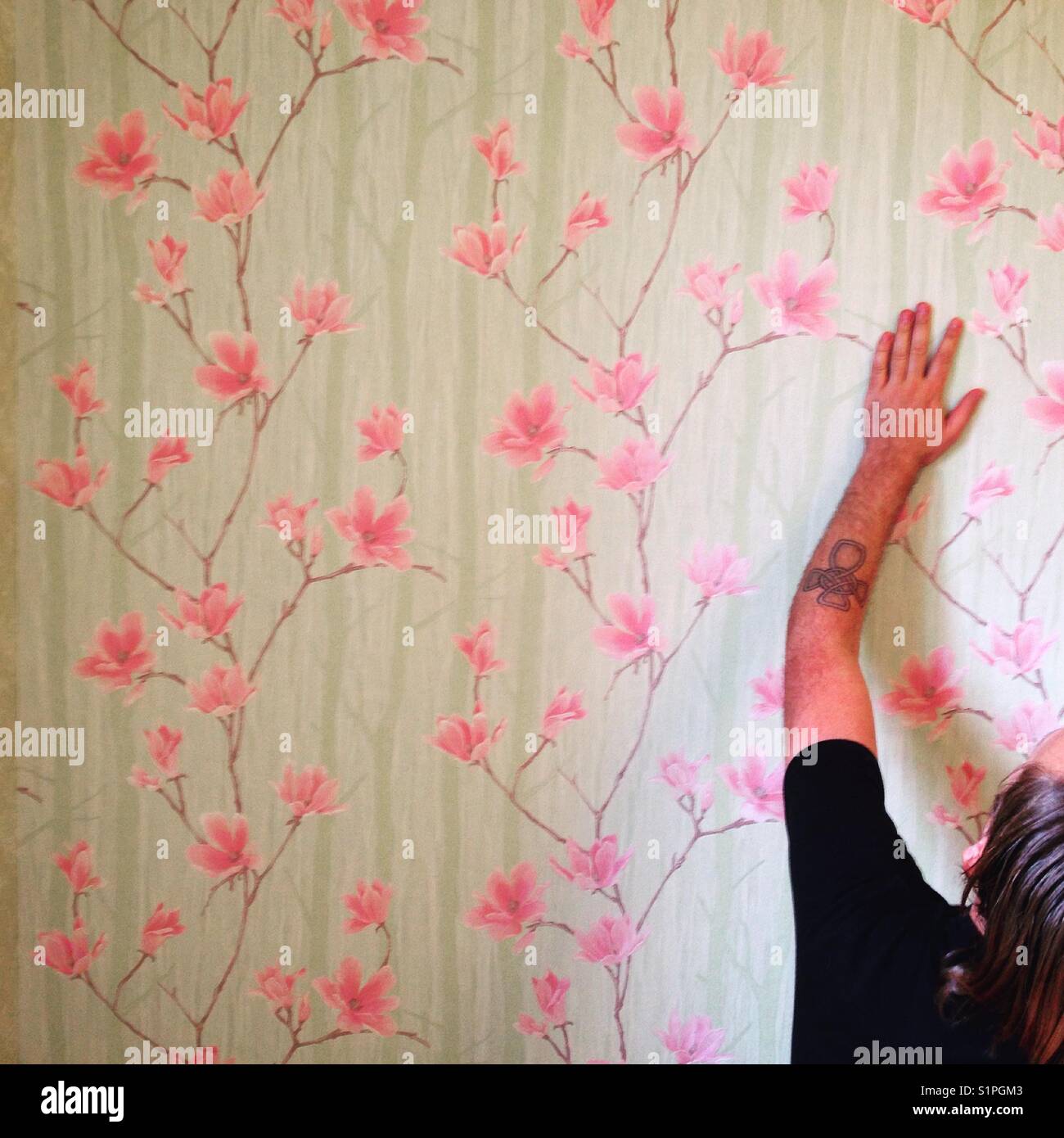 Wallpaper installation hi-res stock photography and images - Alamy