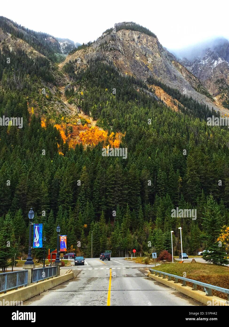 Near Field, British Columbia, Autumn colours, and Kicking Horse River ...