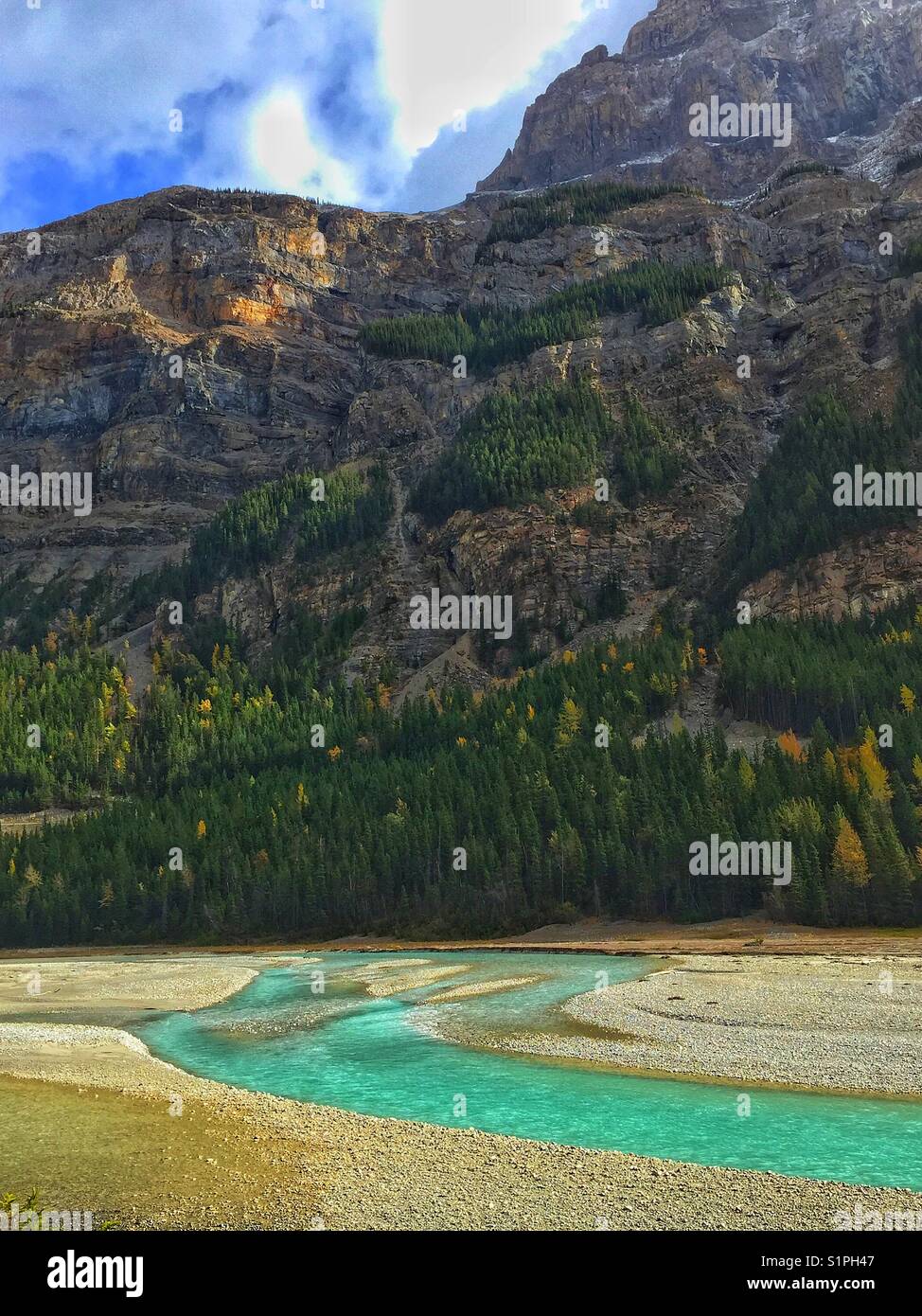 Near Field, British Columbia, Autumn colours, and Kicking Horse River ...