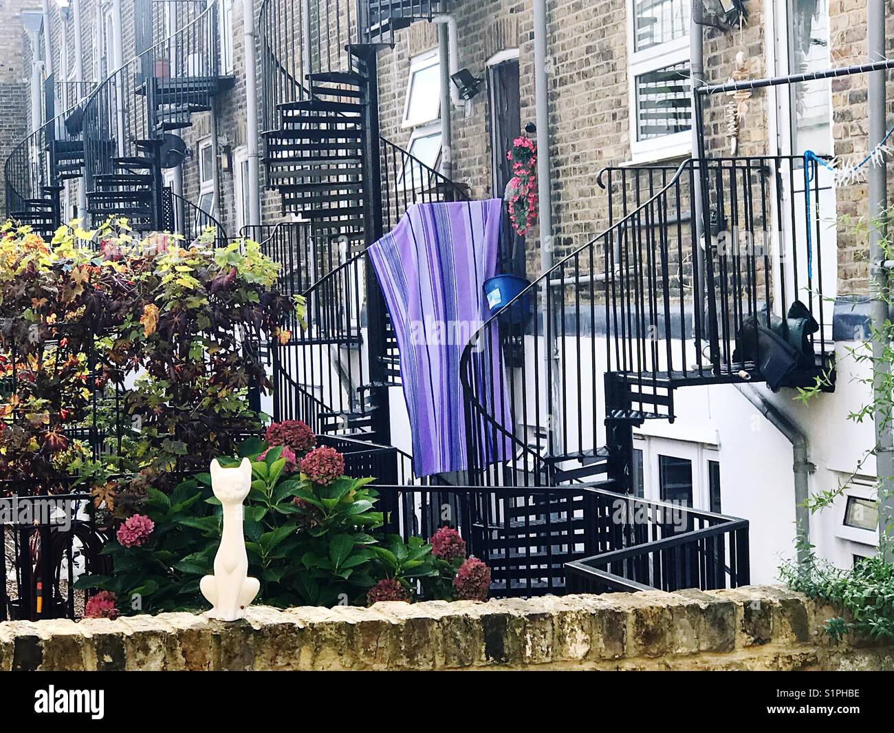 London Cat High Resolution Stock Photography and Images - Alamy