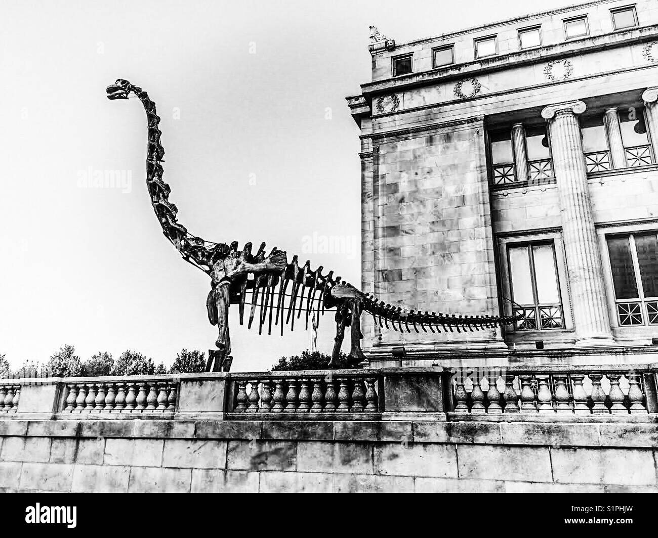 Steadfast Black and White Stock Photos & Images - Alamy