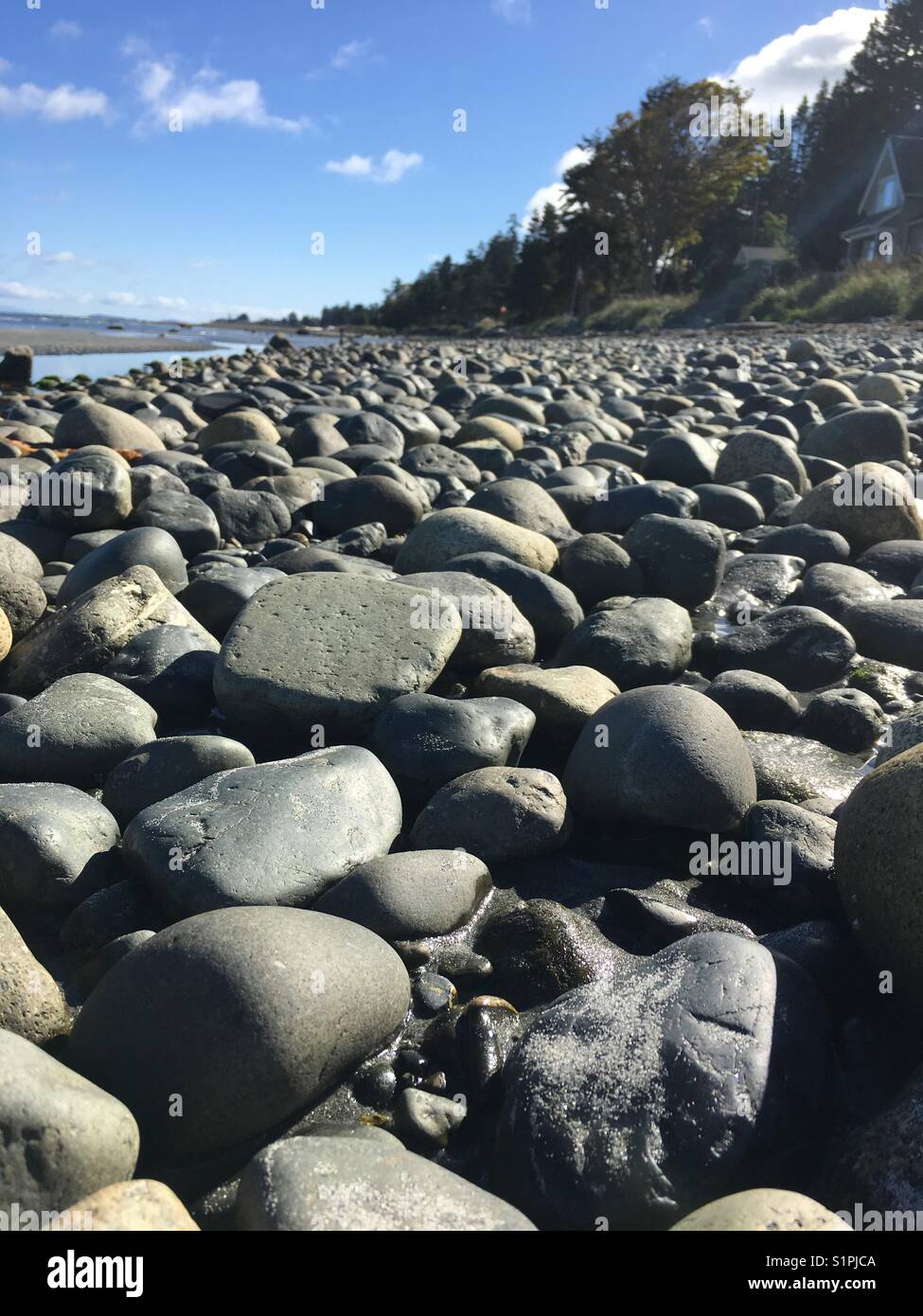 Qualicum beach hi-res stock photography and images - Alamy