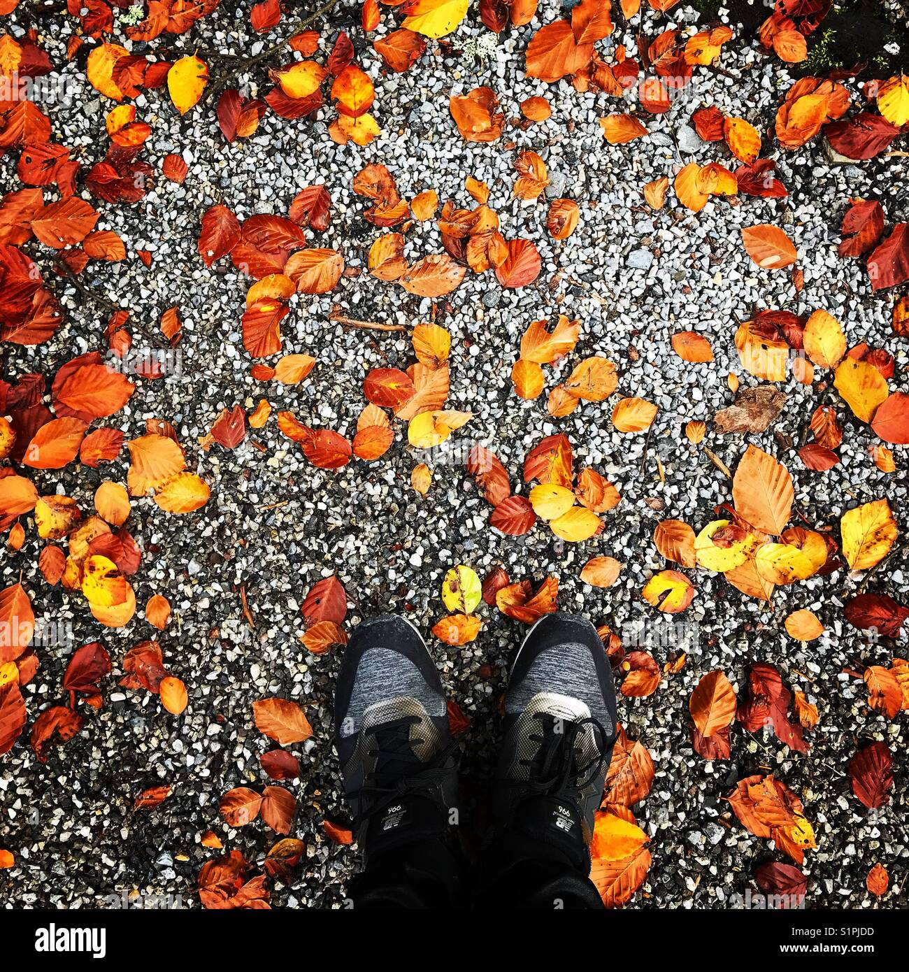 New balance shoes hi-res stock photography and images - Alamy