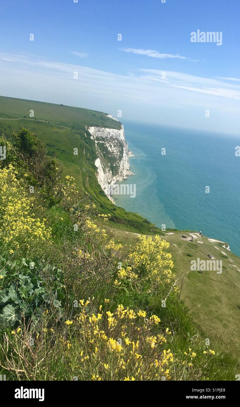 White Cliffs of Dover Stock Photo - Alamy