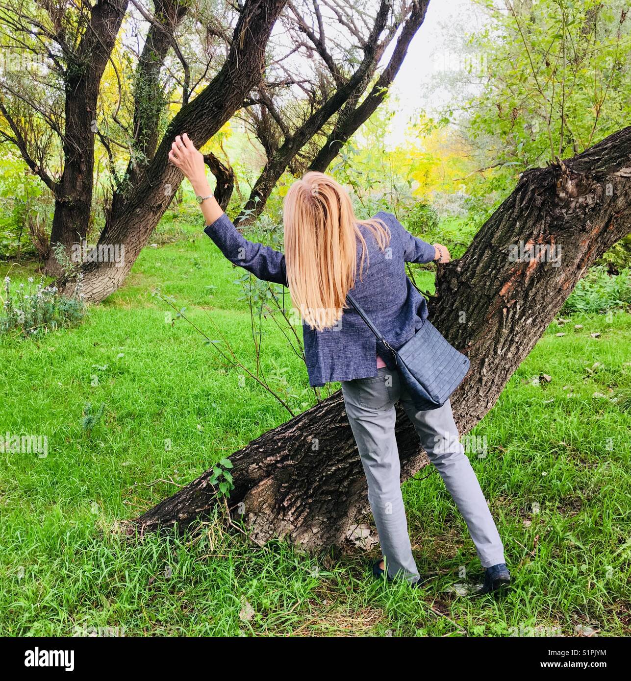 Woman in nature and trees Stock Photo - Alamy